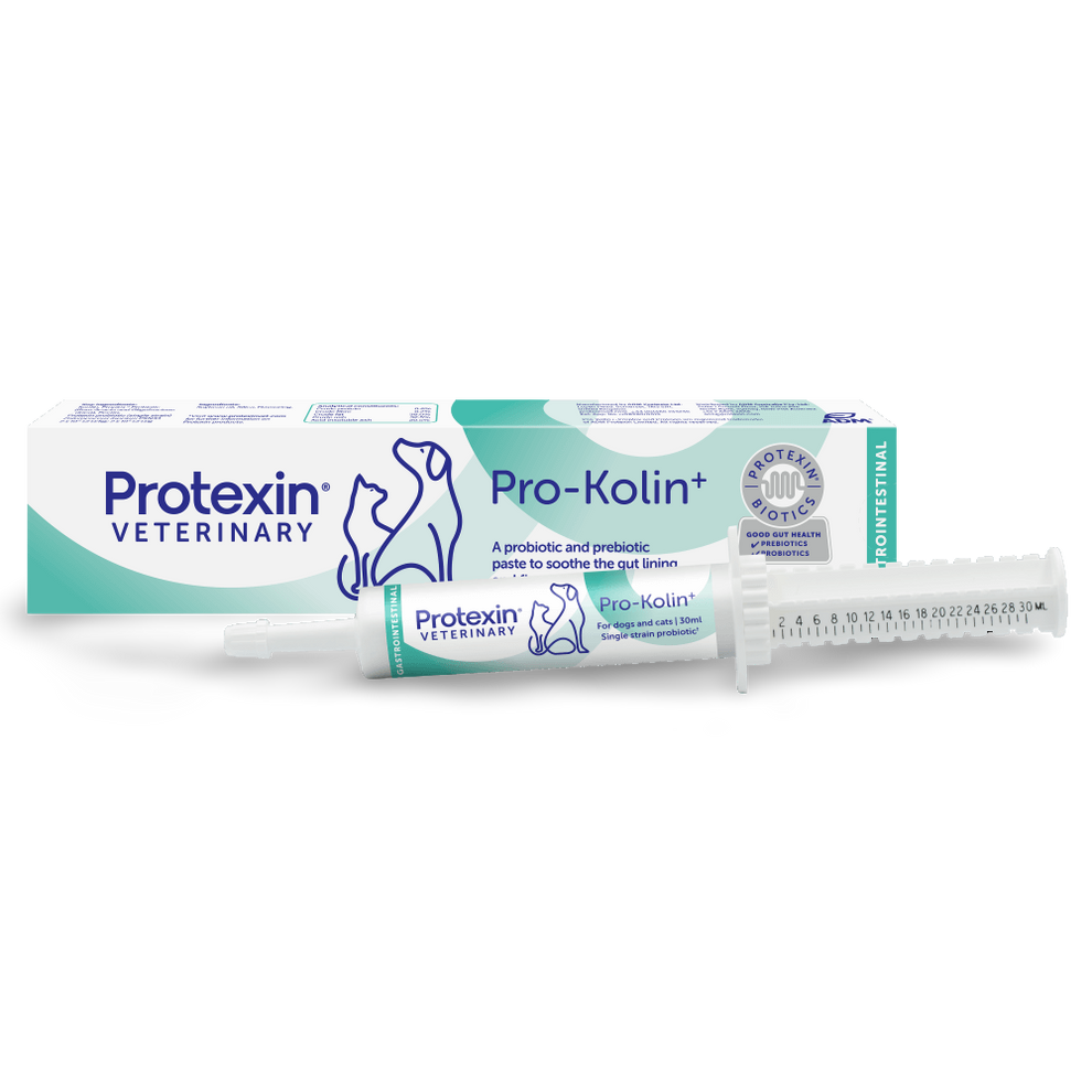 Protexin Pro-Kolin - Probiotic & Prebiotic Paste for Dogs and Cats 30m ...